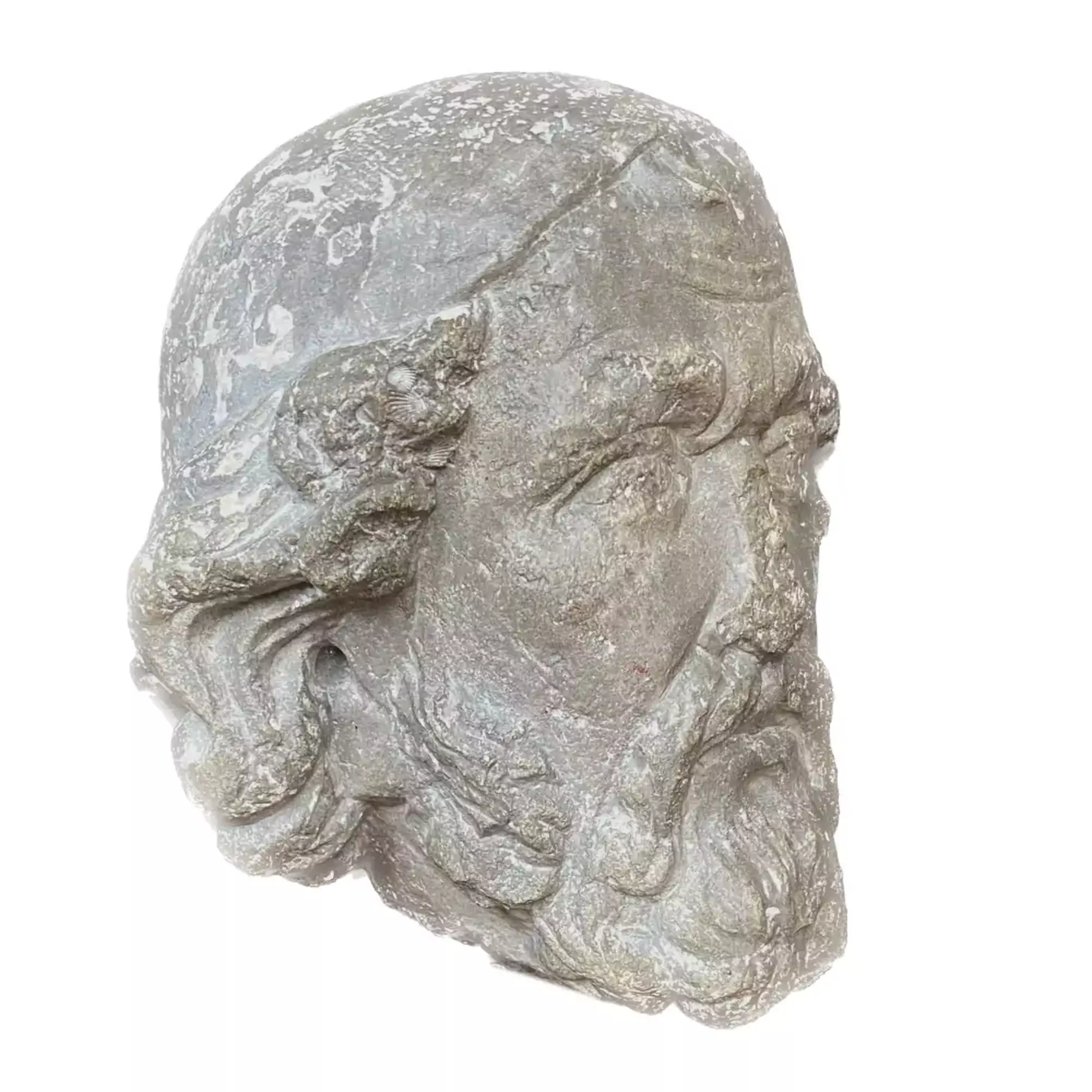 Gothic period prophet's head sculpture - Limestone